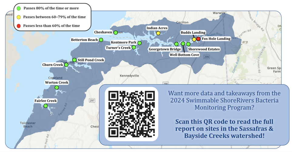 Sassafras River shows major improvement in 2024 State of the Rivers ...