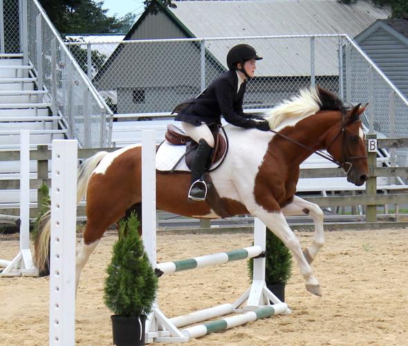 QA Fair English Horse Show | News | myeasternshoremd.com