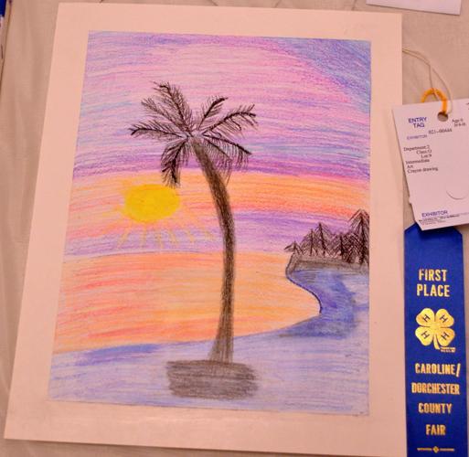 Rachel Jessee crowned fair queen | News | myeasternshoremd.com