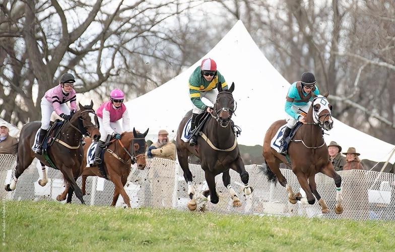 History and equestrian sport comes to life at Mount Harmon Plantation ...