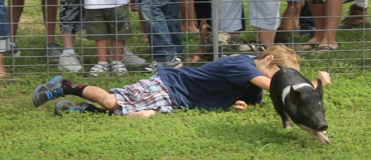 Greased Pig Contest | Featured | myeasternshoremd.com