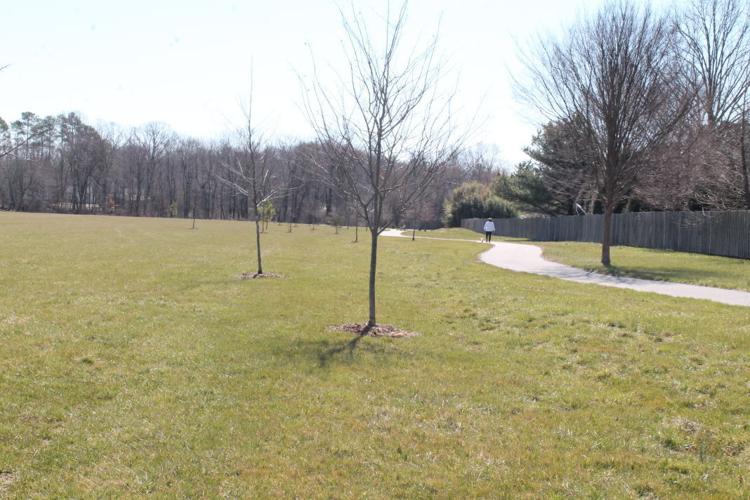 Recreation commission survey is online | Kent County | myeasternshoremd.com
