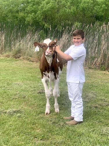 Queen Anne’s County 4-H hosts Eastern Shore Spring Show | News ...