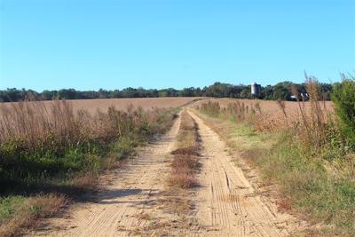 PSC to hold virtual public hearing on Morgnec Road Solar project | News ...