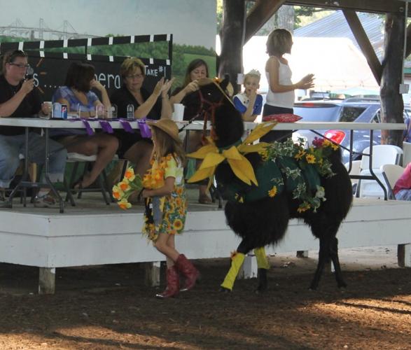 Pretty Animal Contest at the QA County Fair | Featured ...