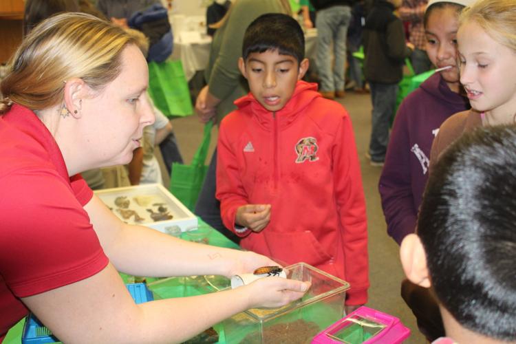 STEM festival educates young learners | Spotlight | myeasternshoremd.com