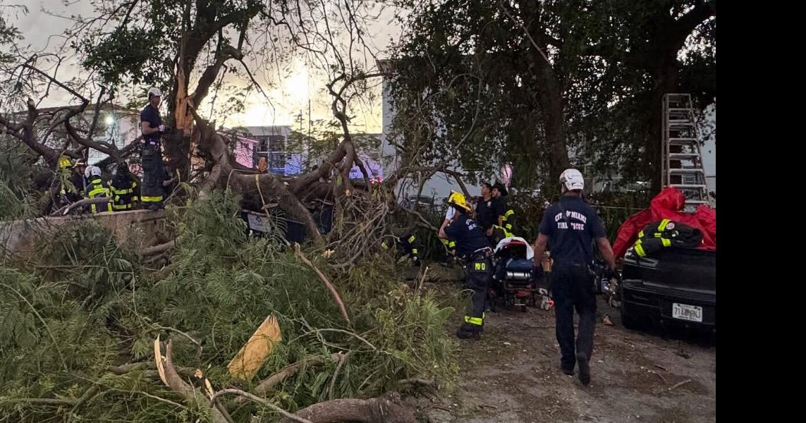 Tree collapse in Miami leaves two injured and rescued by fire ...