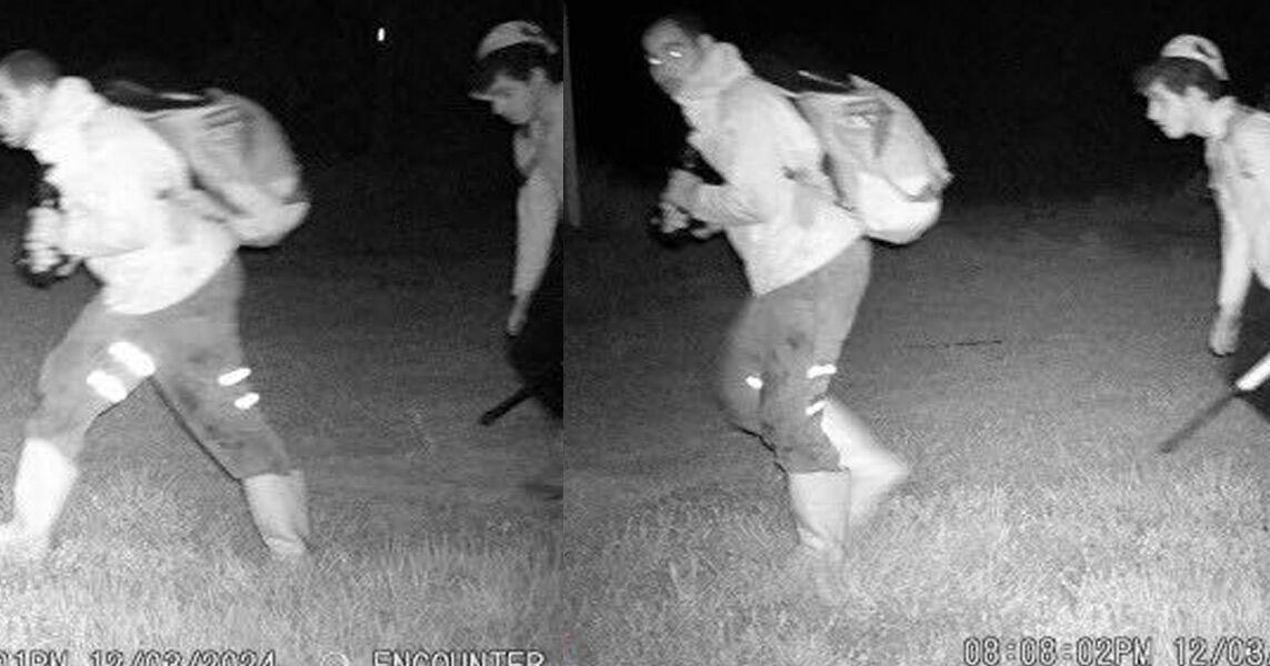 Hendry County Sheriff's Office seeks public help in illegal deer ...