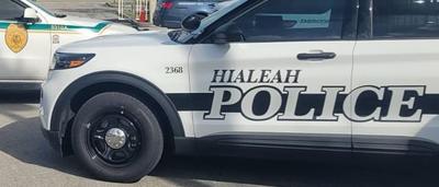 Florida mother and son plead guilty in $750,000 gold jewelry heist ...