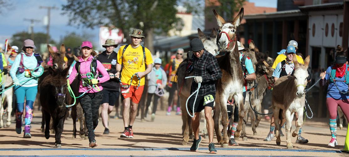 Donkeys hit the trail in Tombstone | Cochise County | myheraldreview.com