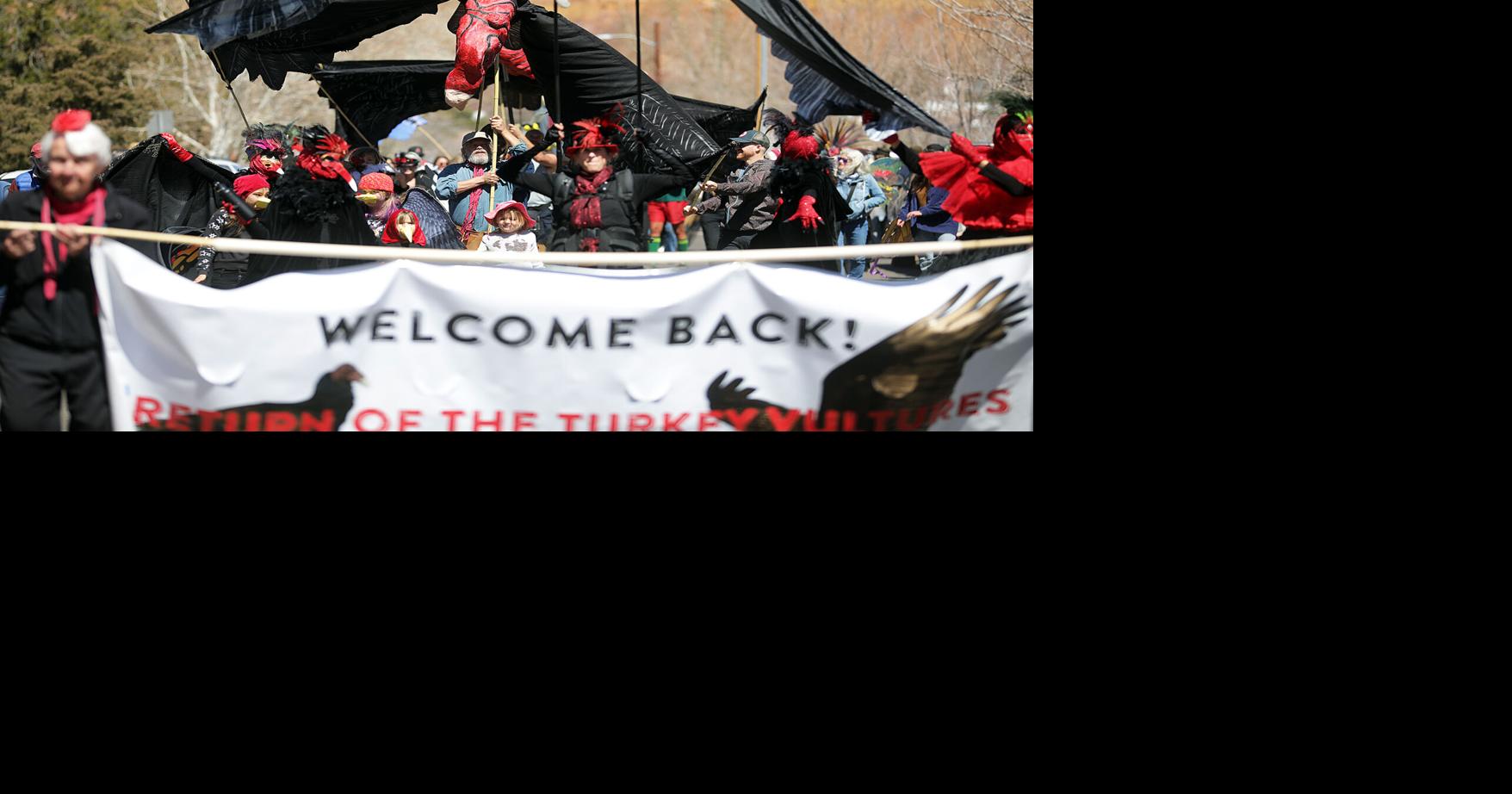 They're baaaaaack! Return of the Turkey Vultures hits Bisbee | Bisbee ...