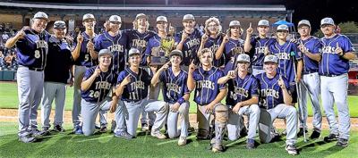 St. David gets past Ray 9-8 to capture 1A state baseball title | Local ...