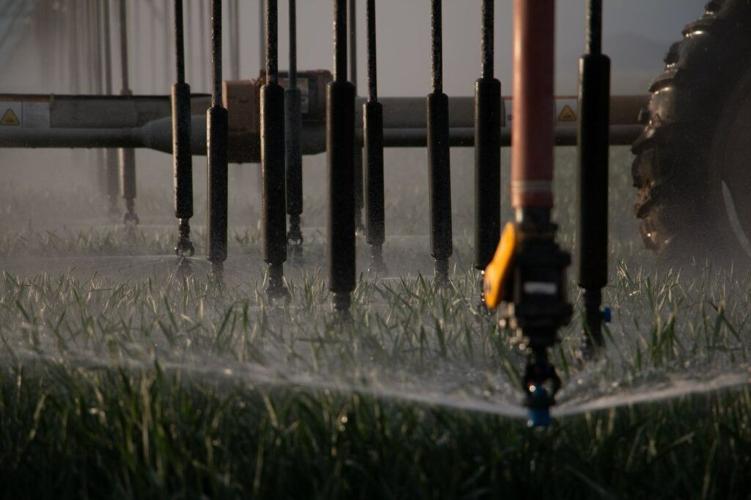 In the Douglas and Willcox basins, weak groundwater regulation ...