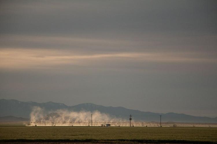 In the Douglas and Willcox basins, weak groundwater regulation ...