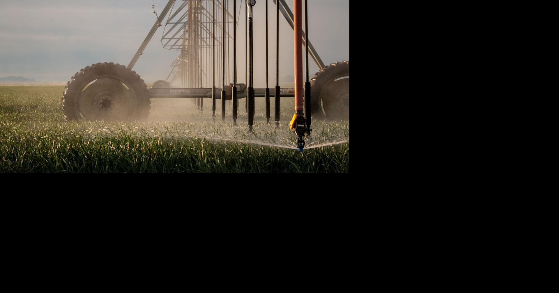 In the Douglas and Willcox basins, weak groundwater regulation ...