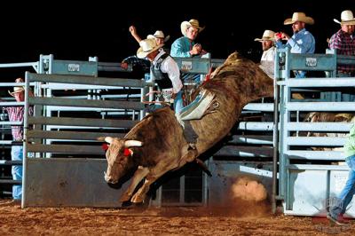 Rodeo brings professional, junior riders to Sierra Vista | Local Sports ...
