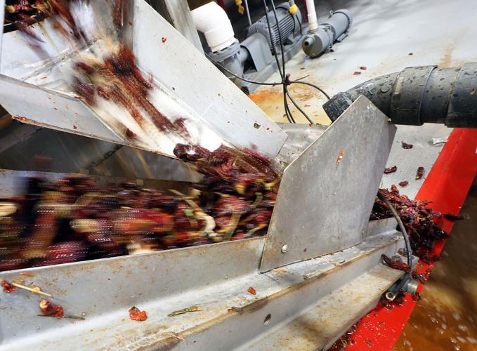 County farmer, innovater, builds chile empire in the desert | Cochise ...