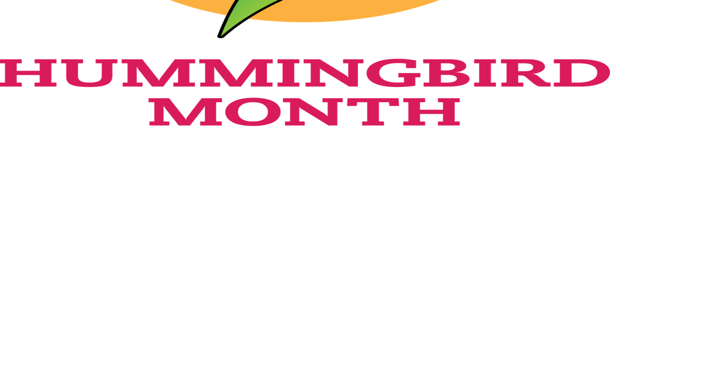 Sierra Vista Mayor declares August Hummingbird Month | Sierra Vista ...