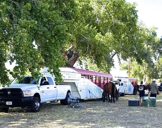 B Troop assists with horse evacuations at Buffalo Corral | Cochise ...