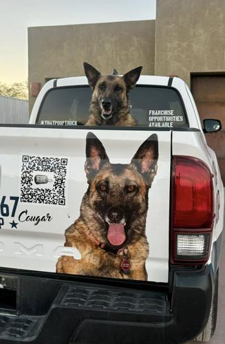 Pet poop no more! Scoop Soldiers is here for Cochise County | Benson ...