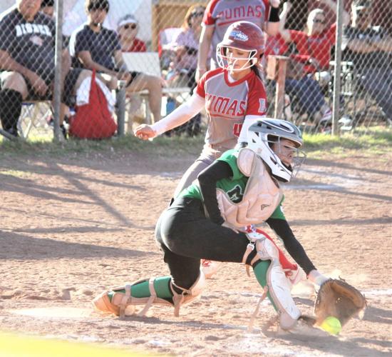 Bisbee baseball, softball win state play-in games | Local Sports ...