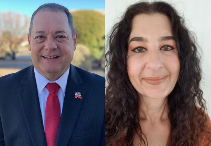 Voter's Guide 2020 | Elections | myheraldreview.com