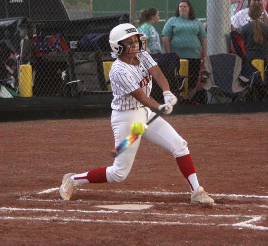 Willcox 10-12 softball All-Stars back in state championship game for ...