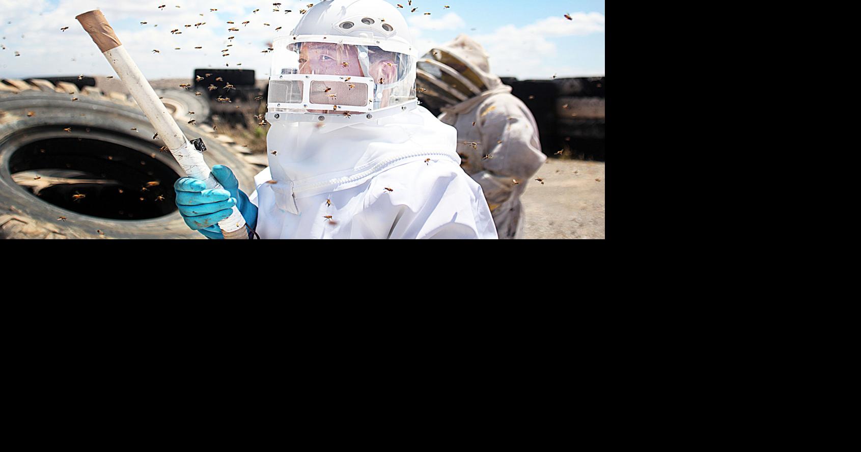 ‘Killer Bee Guy’ carries out massive hive removal outside Bisbee ...