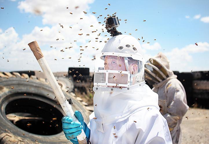 ‘Killer Bee Guy’ carries out massive hive removal outside Bisbee ...