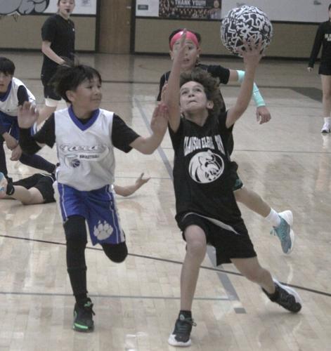 Mini March Madness comes to Douglas | Local Sports | myheraldreview.com