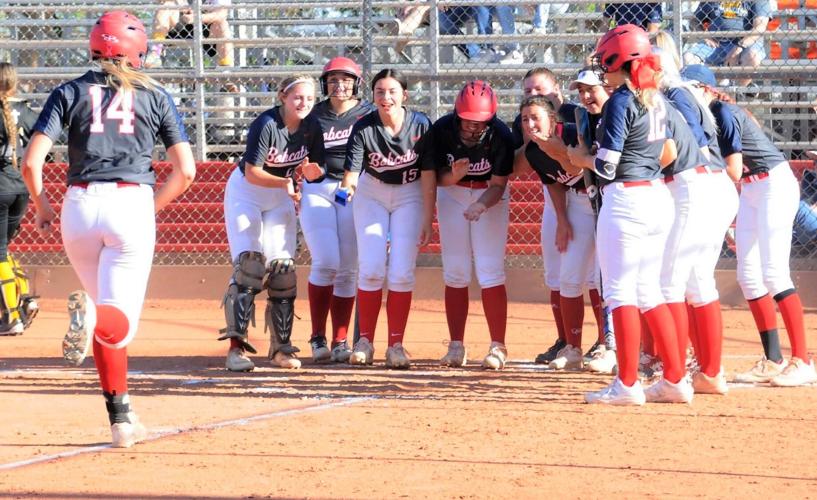 Benson softball chalks up two wins at state | | myheraldreview.com