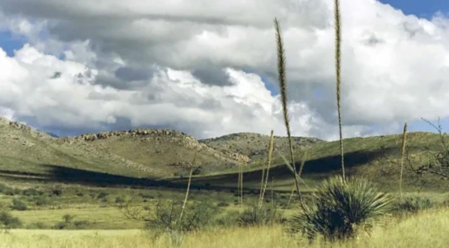 Babacomari Ranch approved to pursue dude ranch near Patagonia/Elgin ...