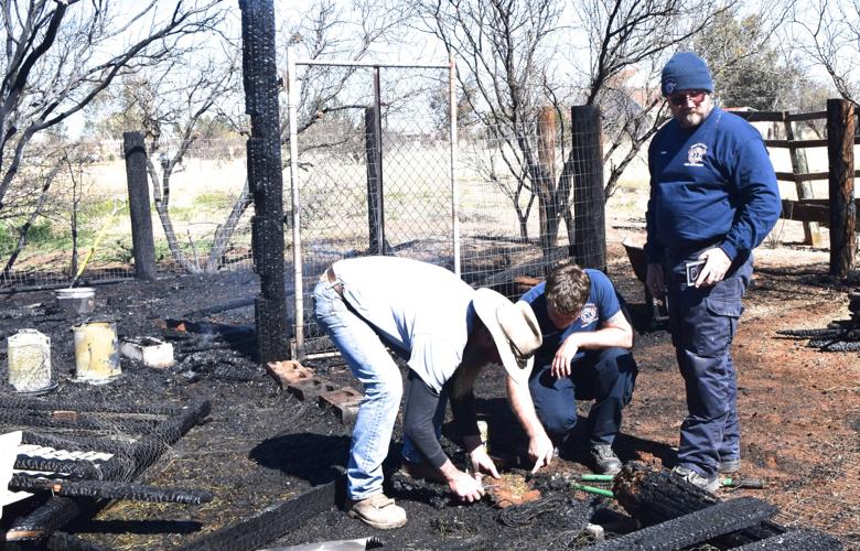 Animals killed in Whetstone fire sparked by unattended heat lamp ...