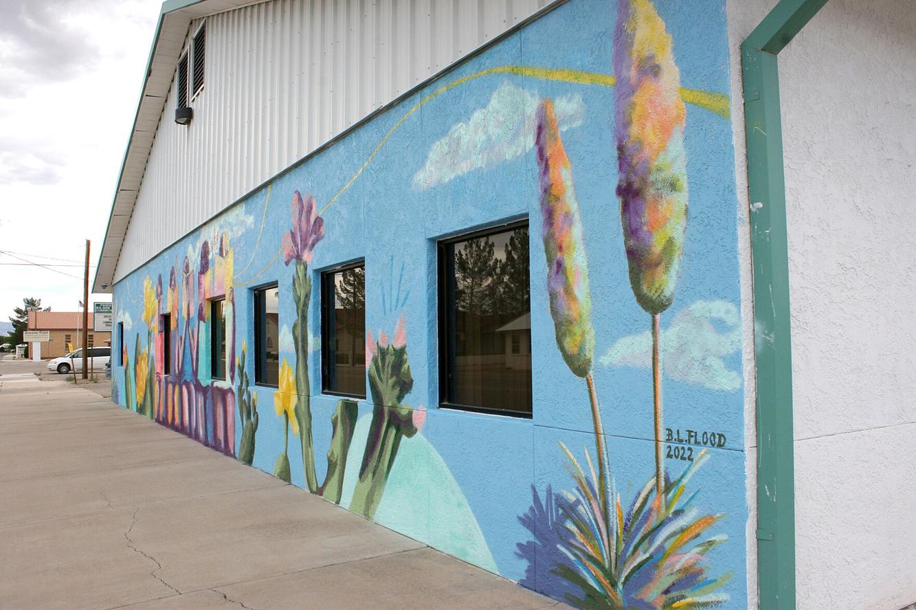 Elsie S. Hogan Community Library receives national grant for small and ...