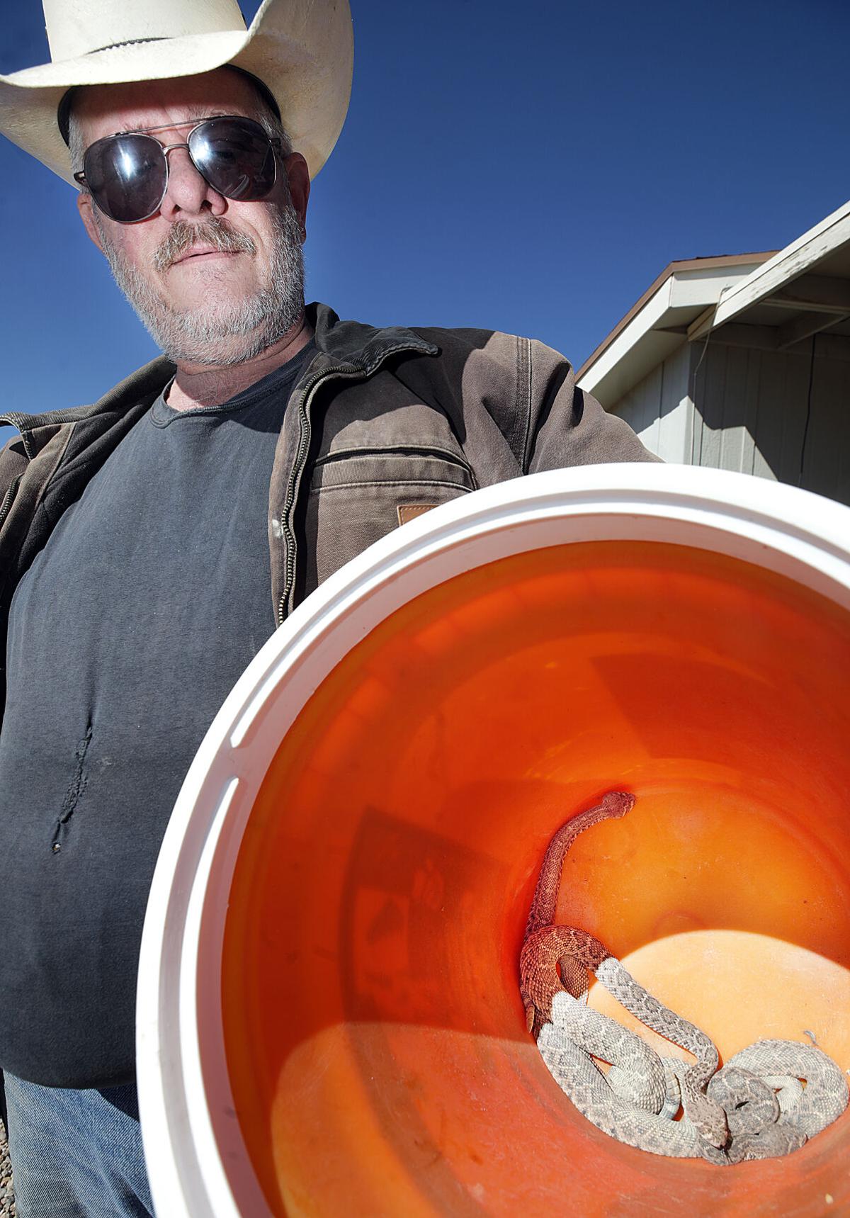 'Snake Guy' aims to keep people, reptiles safe | Cochise County ...