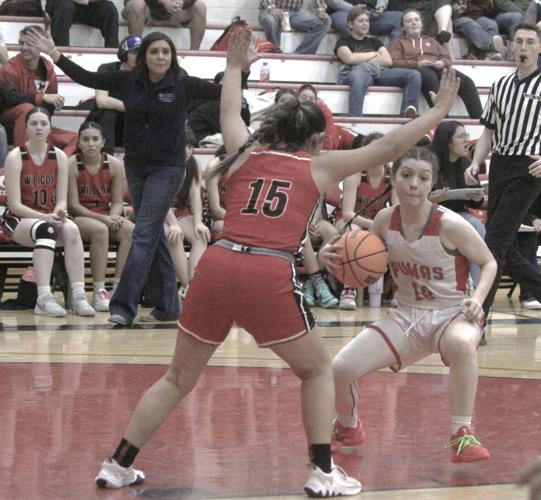 Bisbee girls beat Willcox 47-35 on senior night at Cochise College ...
