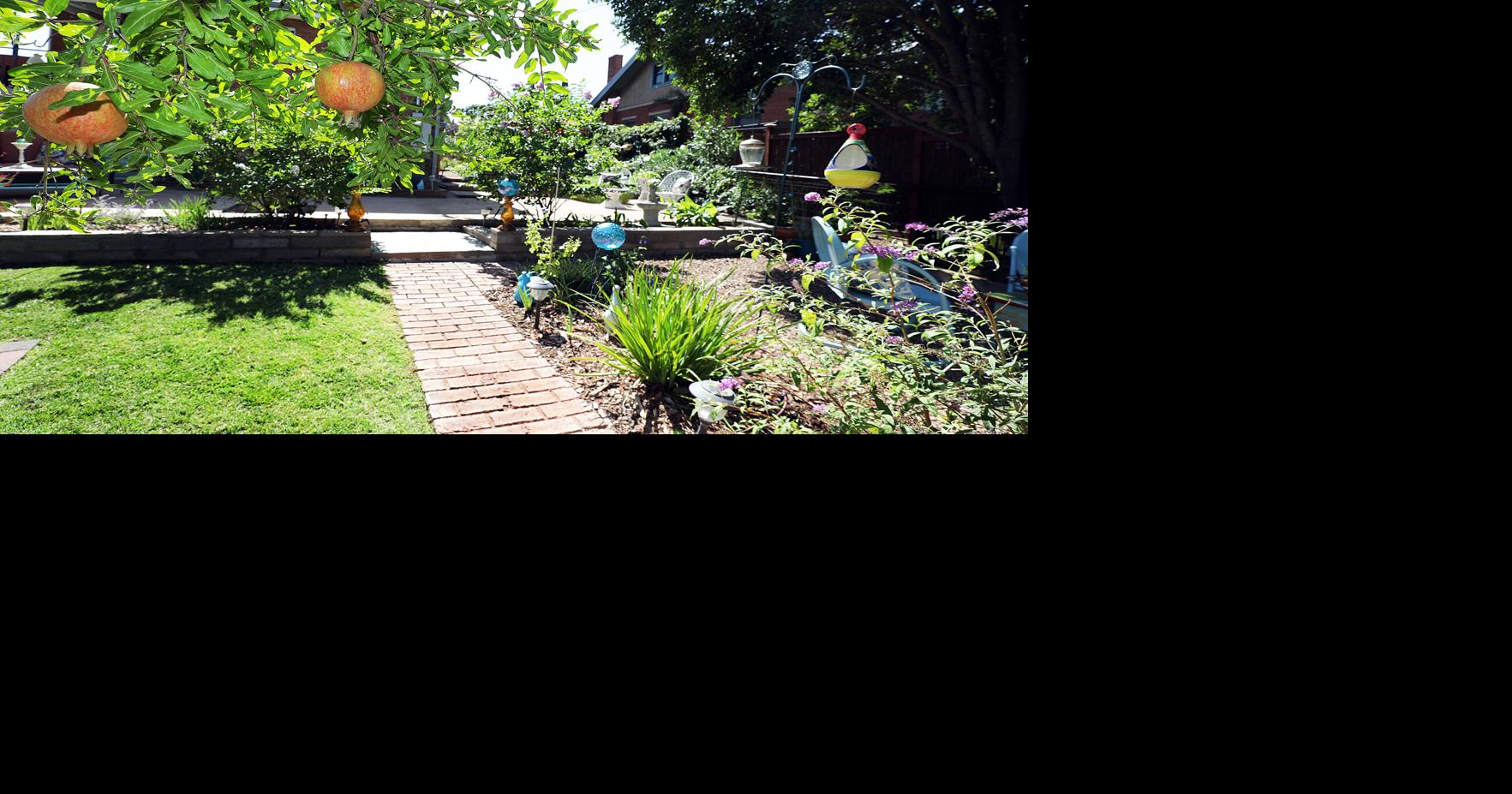 Bisbee Bloomers 22nd annual garden tour shares residents' growing ...