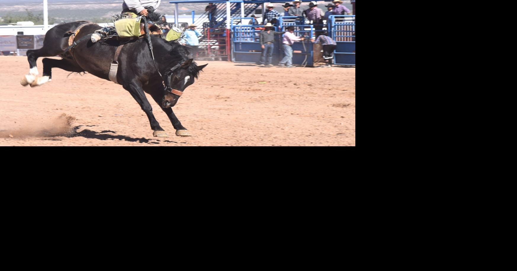 Butterfield Rodeo promises two days of action-packed thrills | Benson ...