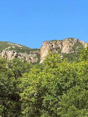 Huachuca Mountain ‘friends’ set program | Local News Stories ...