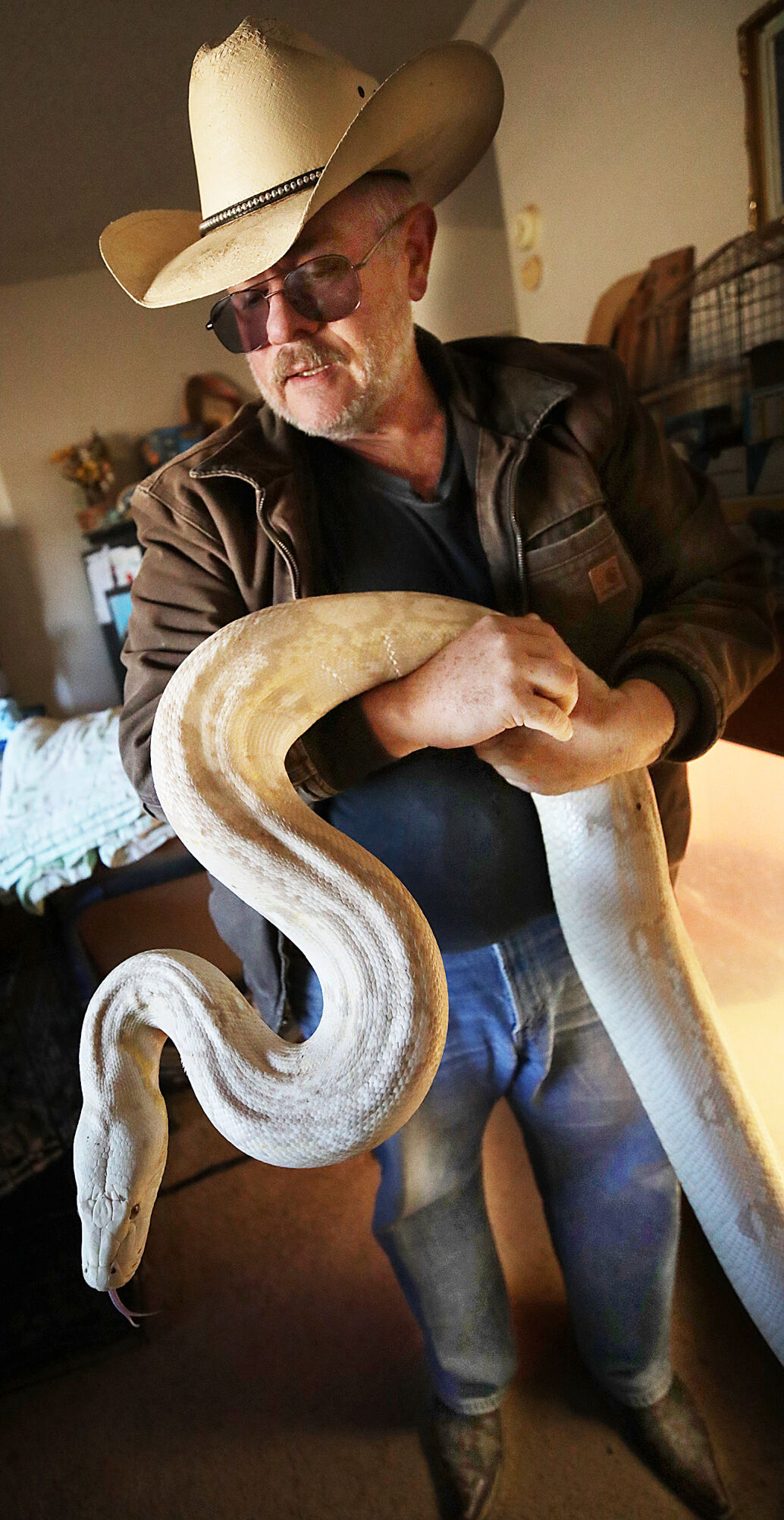'Snake Guy' aims to keep people, reptiles safe | Cochise County ...