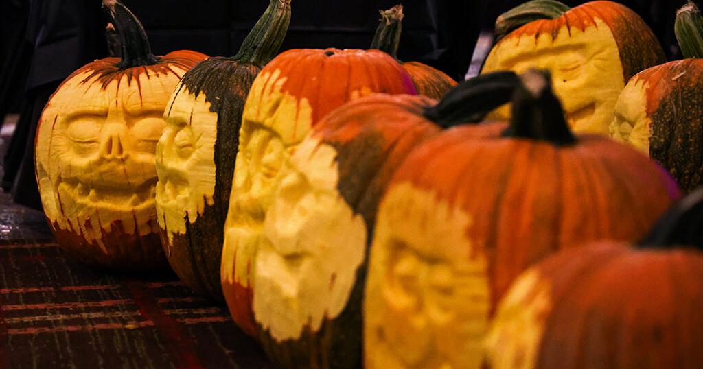 Artist's 6 tips to unlocking your pumpkin's potential (with Arizona ...