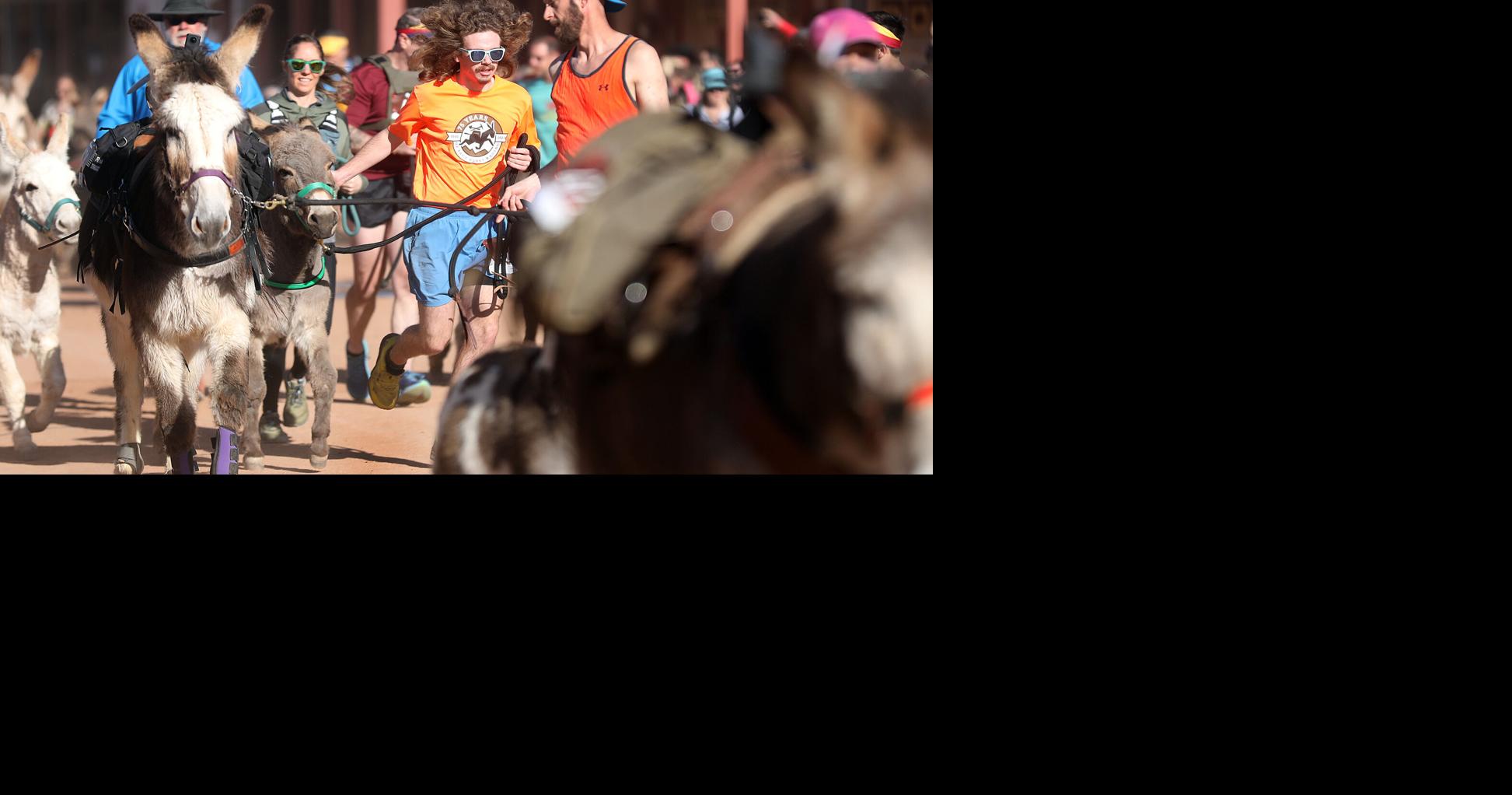 Desert Donkey Dash highlights Ed Schieffelin Days in Tombstone ...