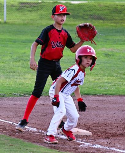 Sierra Vista, San Pedro advance at District 8 8-10 tournament in Benson ...