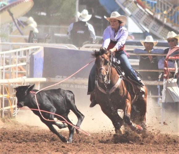 Cochise College hosts rodeo at county fair | Local Sports ...