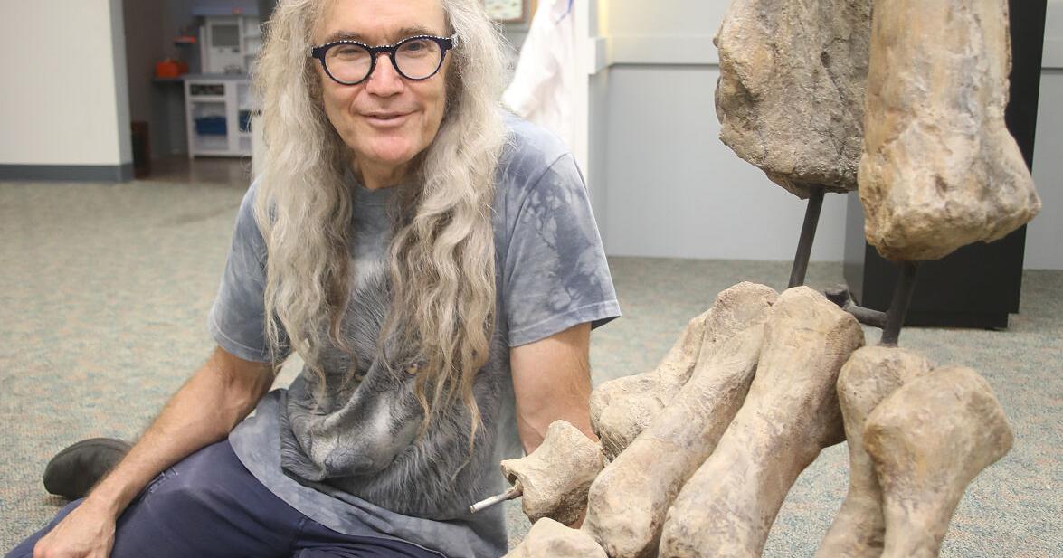 Unearthing the secrets of the past: Fossil discoveries in Cochise ...