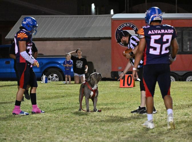 St. David hosts successful 1A All-Star football game | Local Sports ...