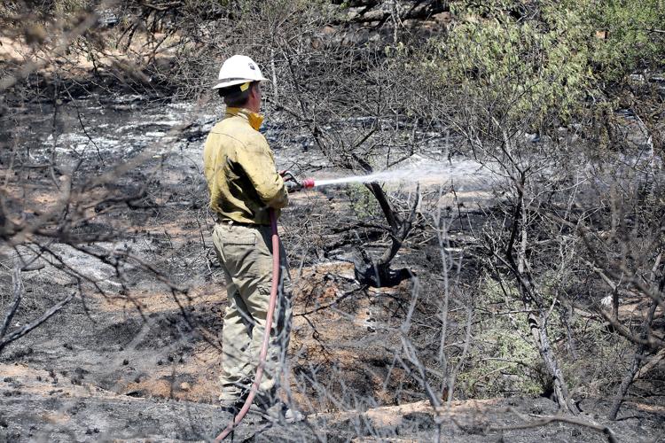 BLM Safford District looking for wildland firefighters for upcoming ...