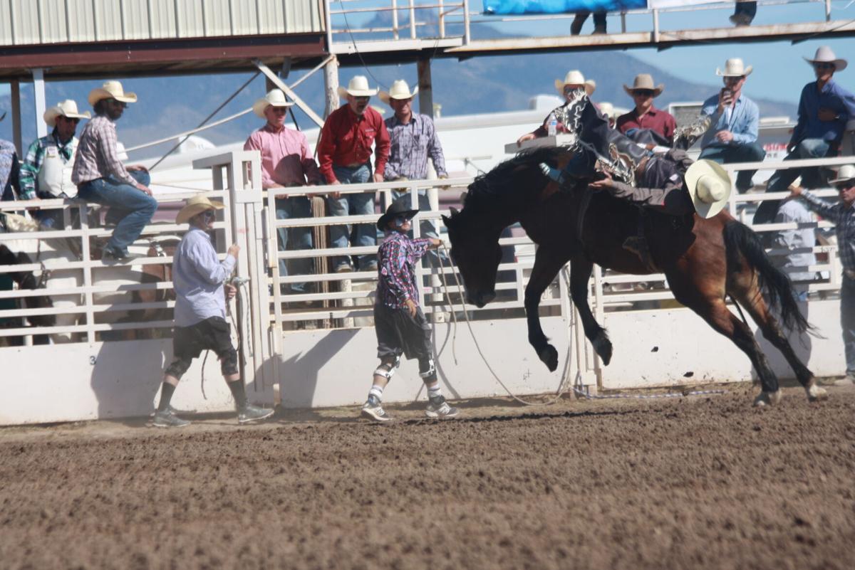 Willcox moving forward with community events | Willcox Range News ...