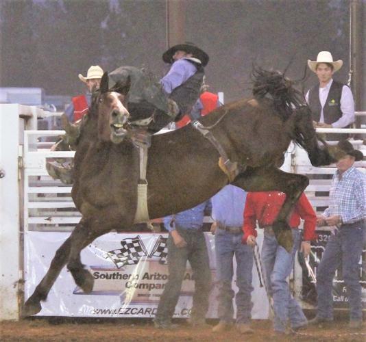 Collegiate rodeo in Douglas this weekend | Local Sports ...