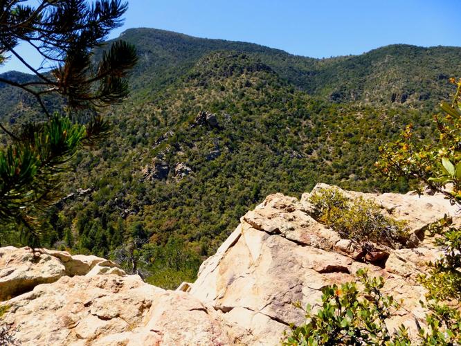 The Dazzling Diversity of Ramsey Canyon | NABUR Magazine ...